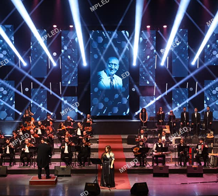 P3.91 Indoor Concert Led Display - mpled